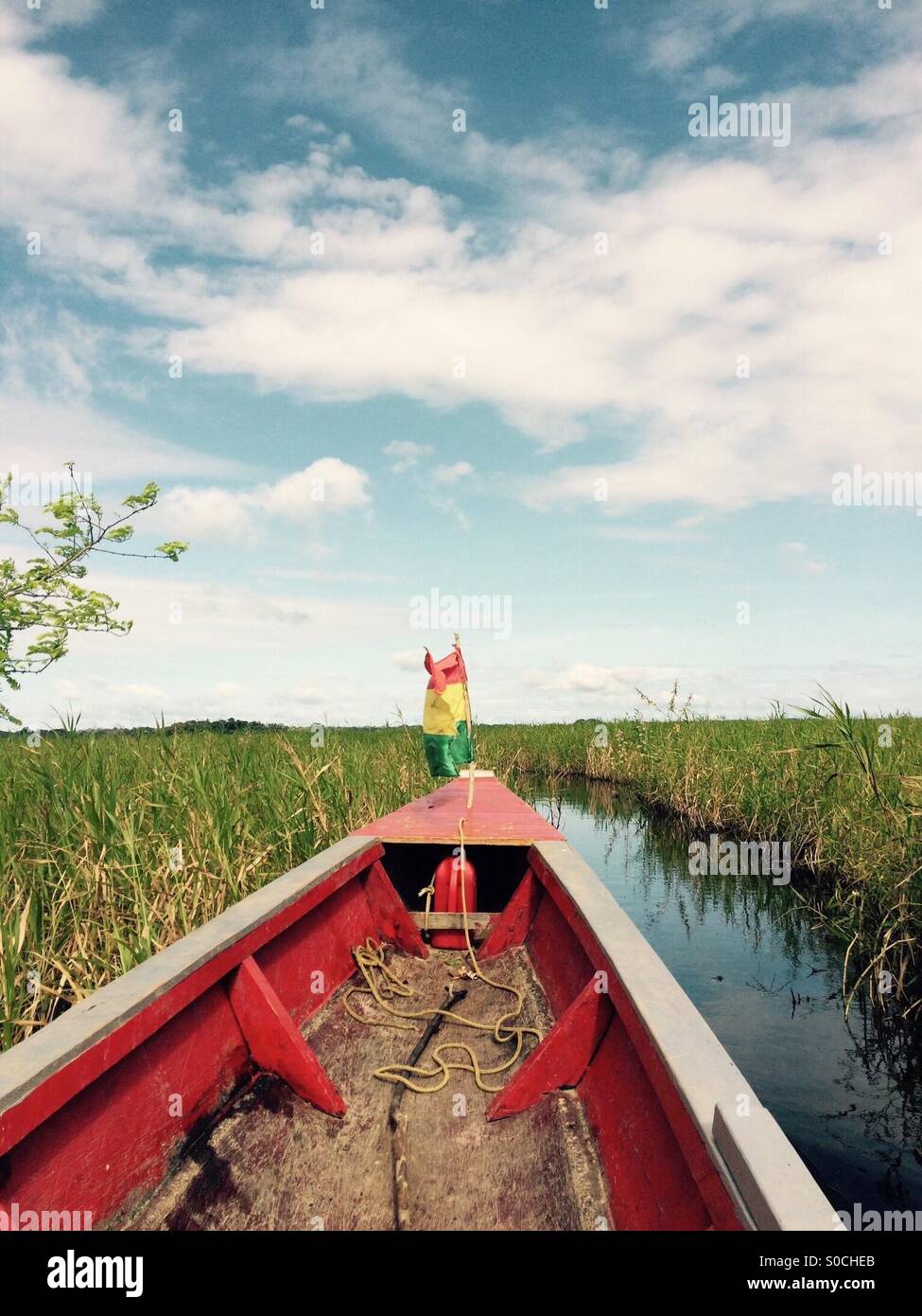 Boat and reeds hi-res stock photography and images - Alamy