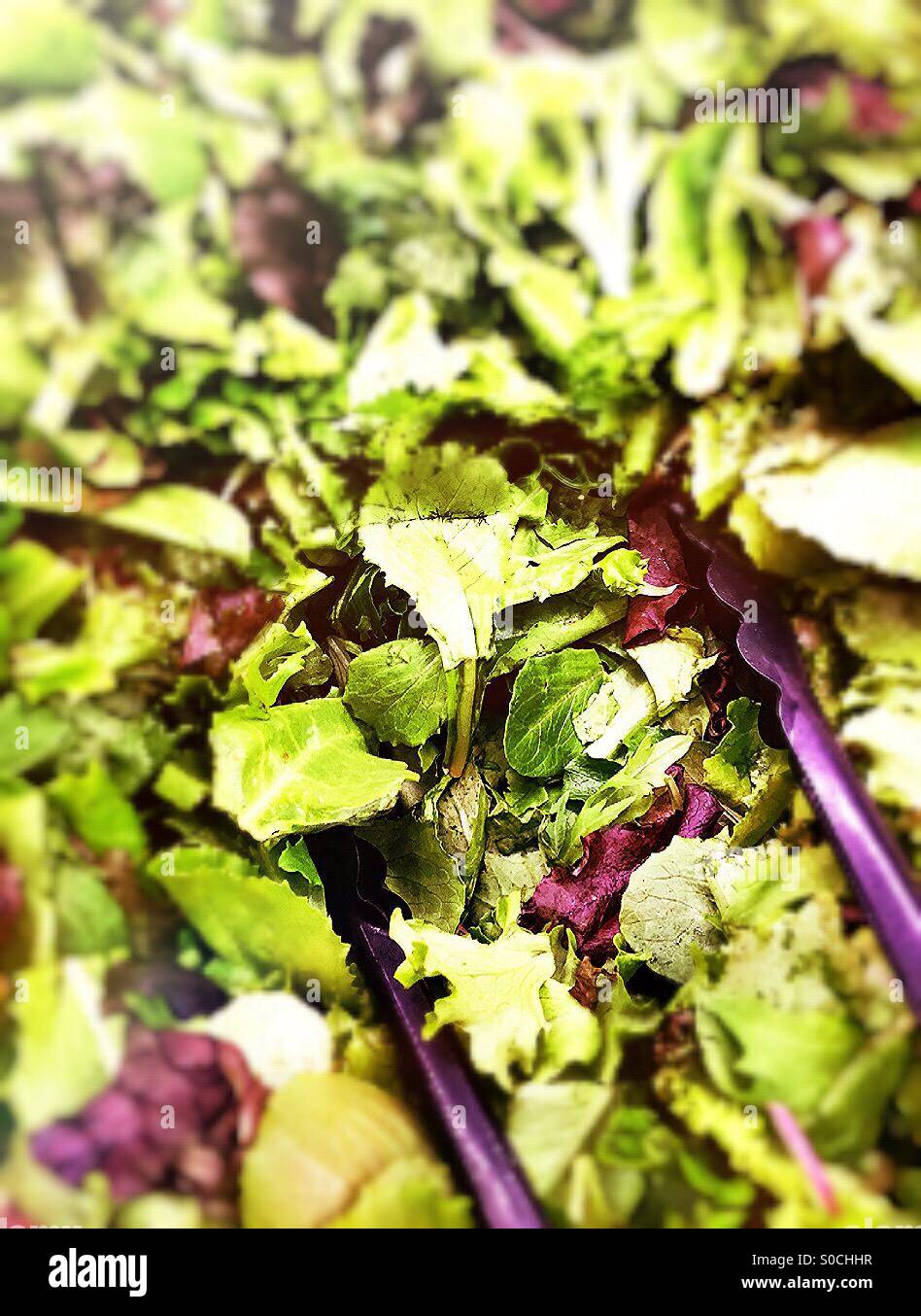 Mixed greens vegetable salad hi-res stock photography and images - Alamy