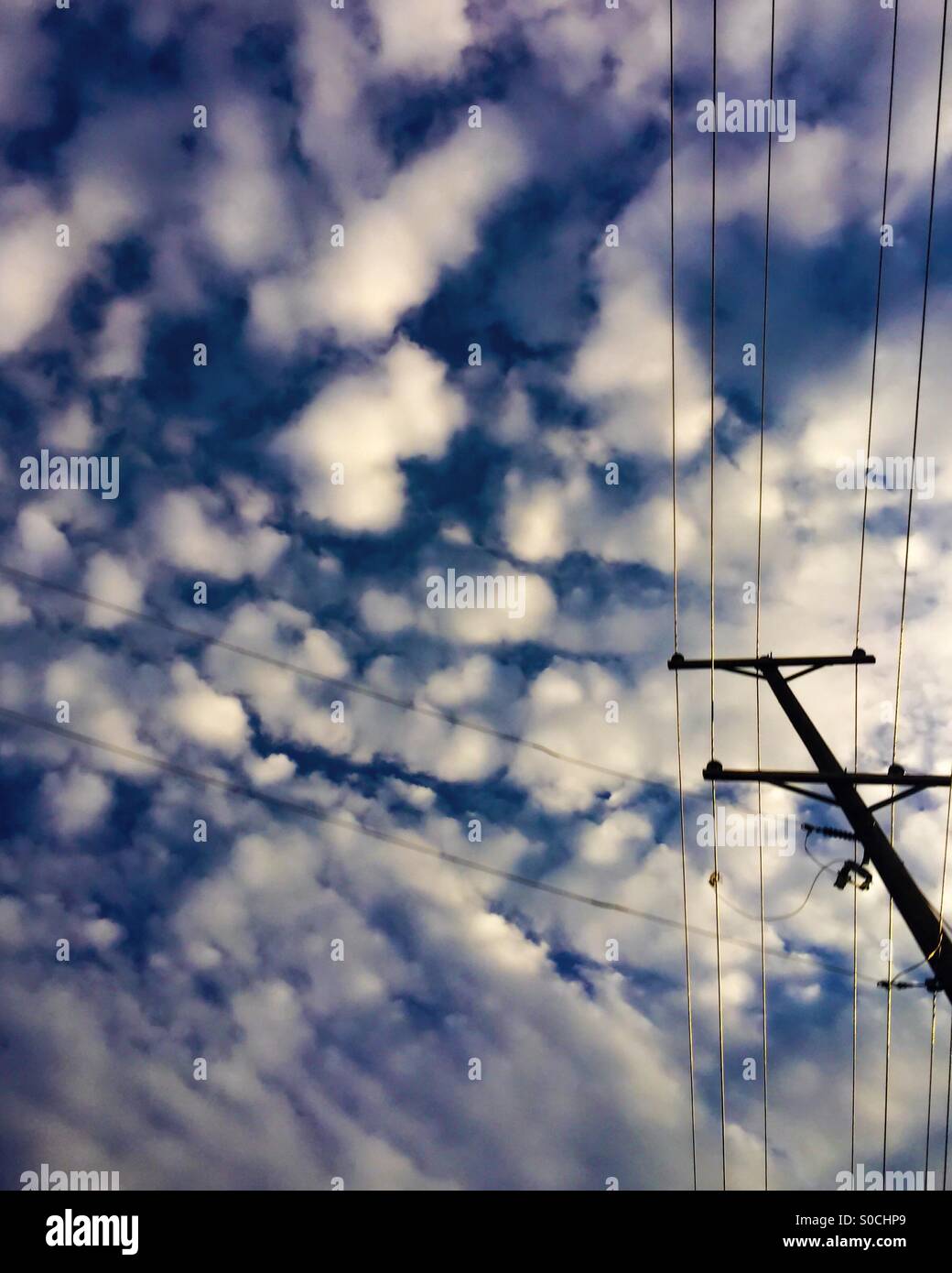 Looking up at power lines; blue sky and white fluffy clouds are the ...