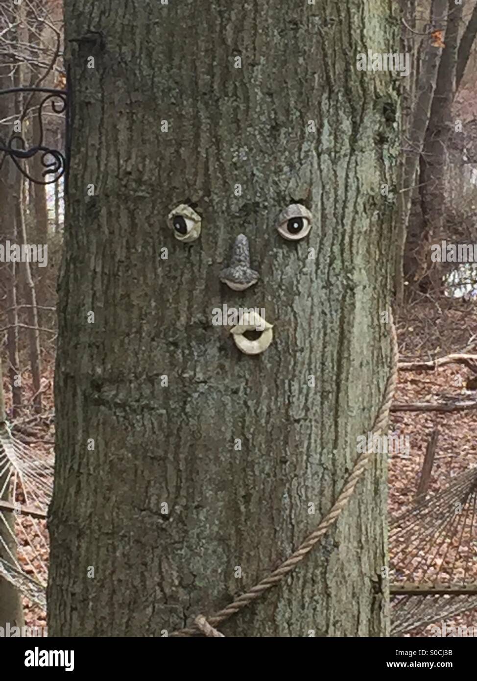Creepy woods hi-res stock photography and images - Alamy