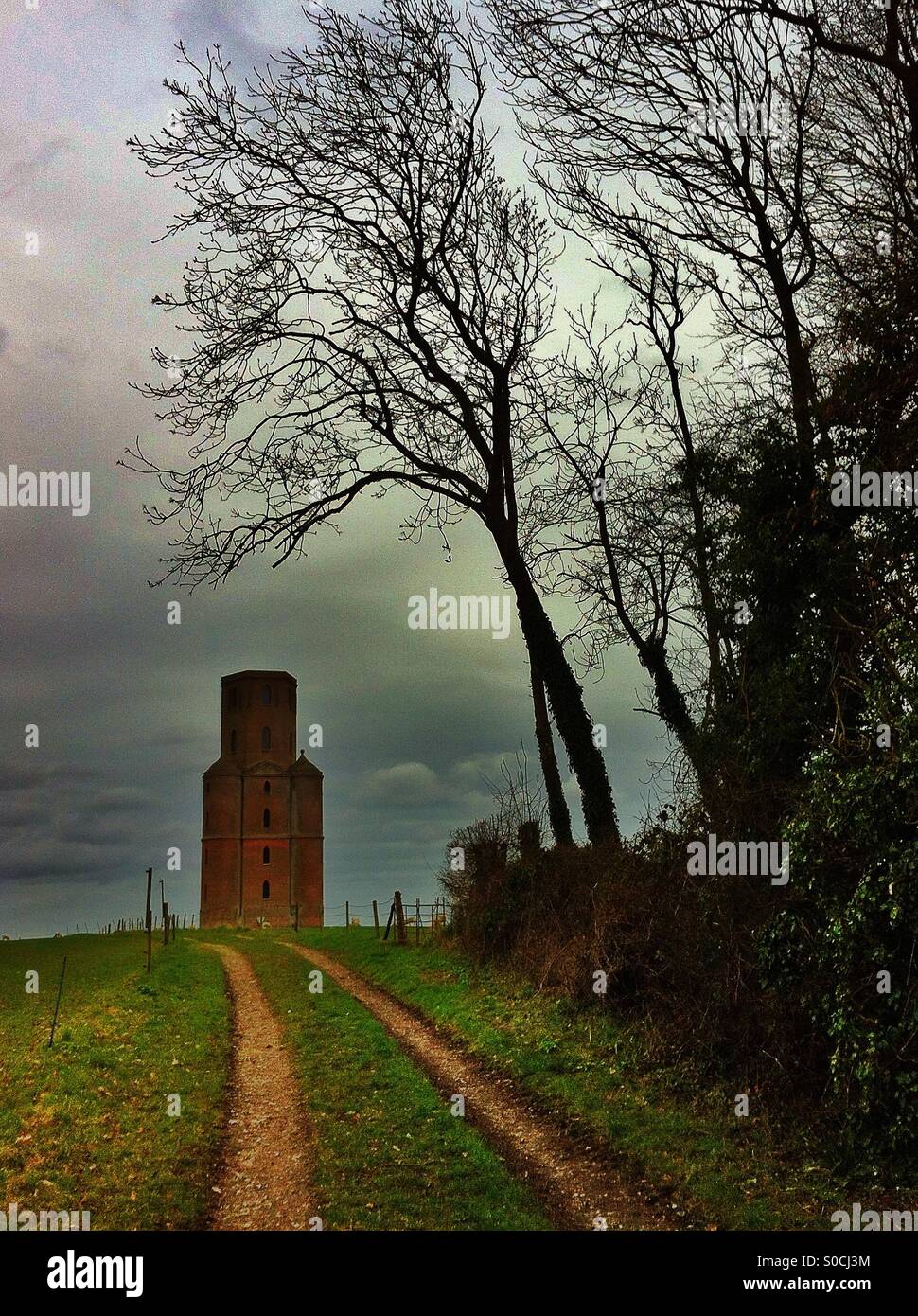 Wimborne dorset winter hi-res stock photography and images - Alamy