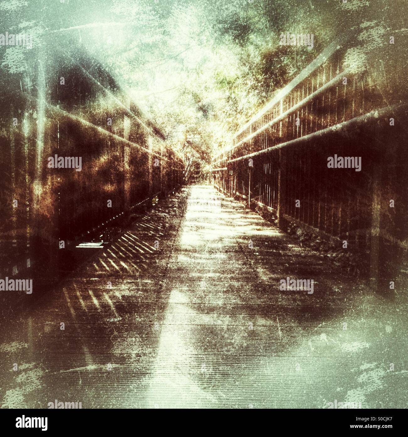 See through overlay hi-res stock photography and images - Alamy