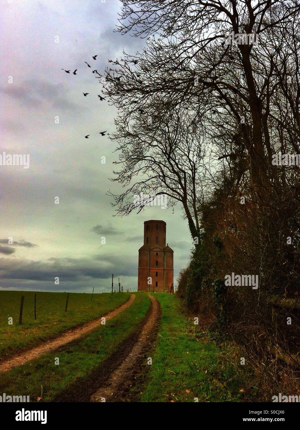 Horton tower folly hi-res stock photography and images - Alamy