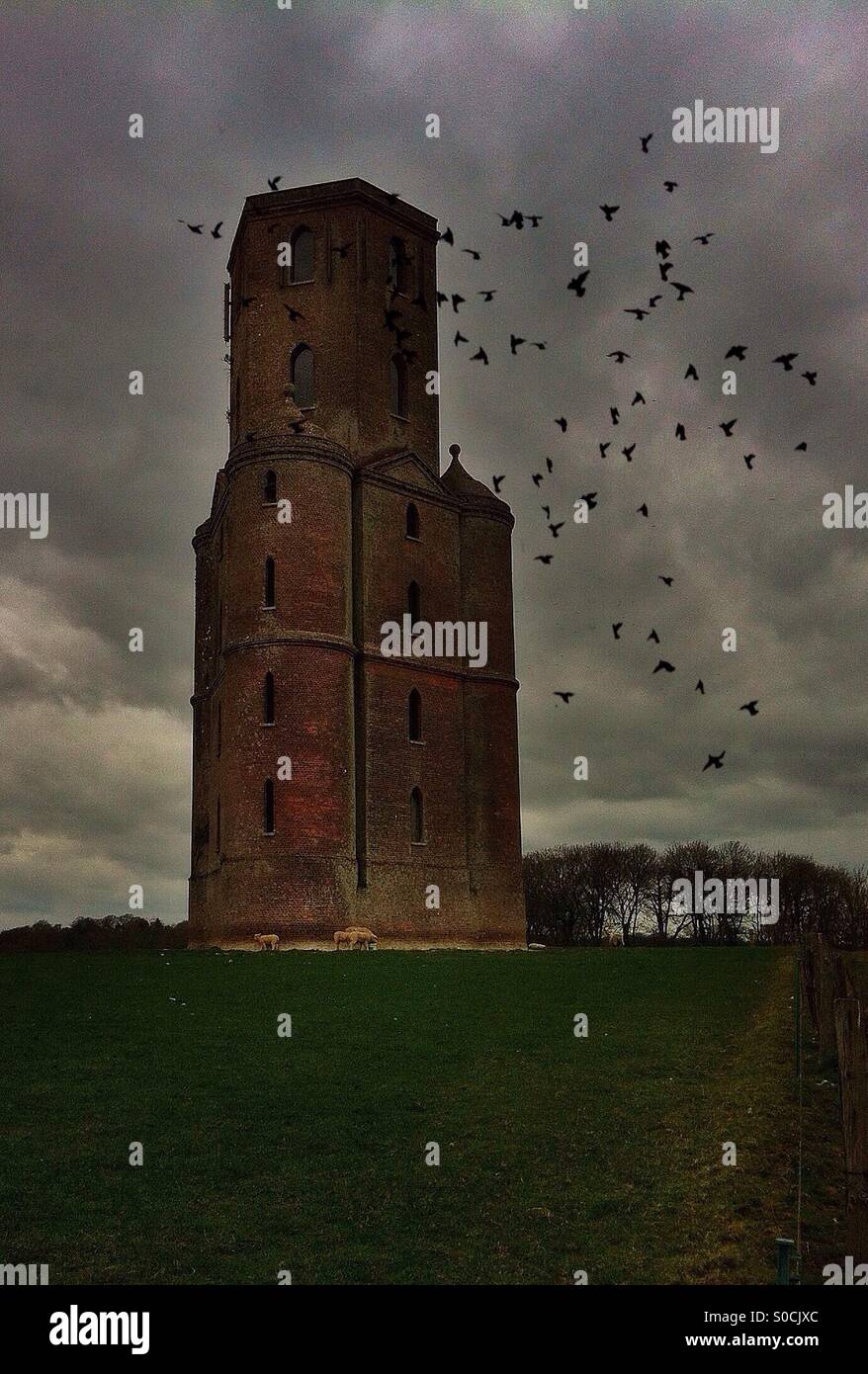 Horton tower dorset hi-res stock photography and images - Alamy