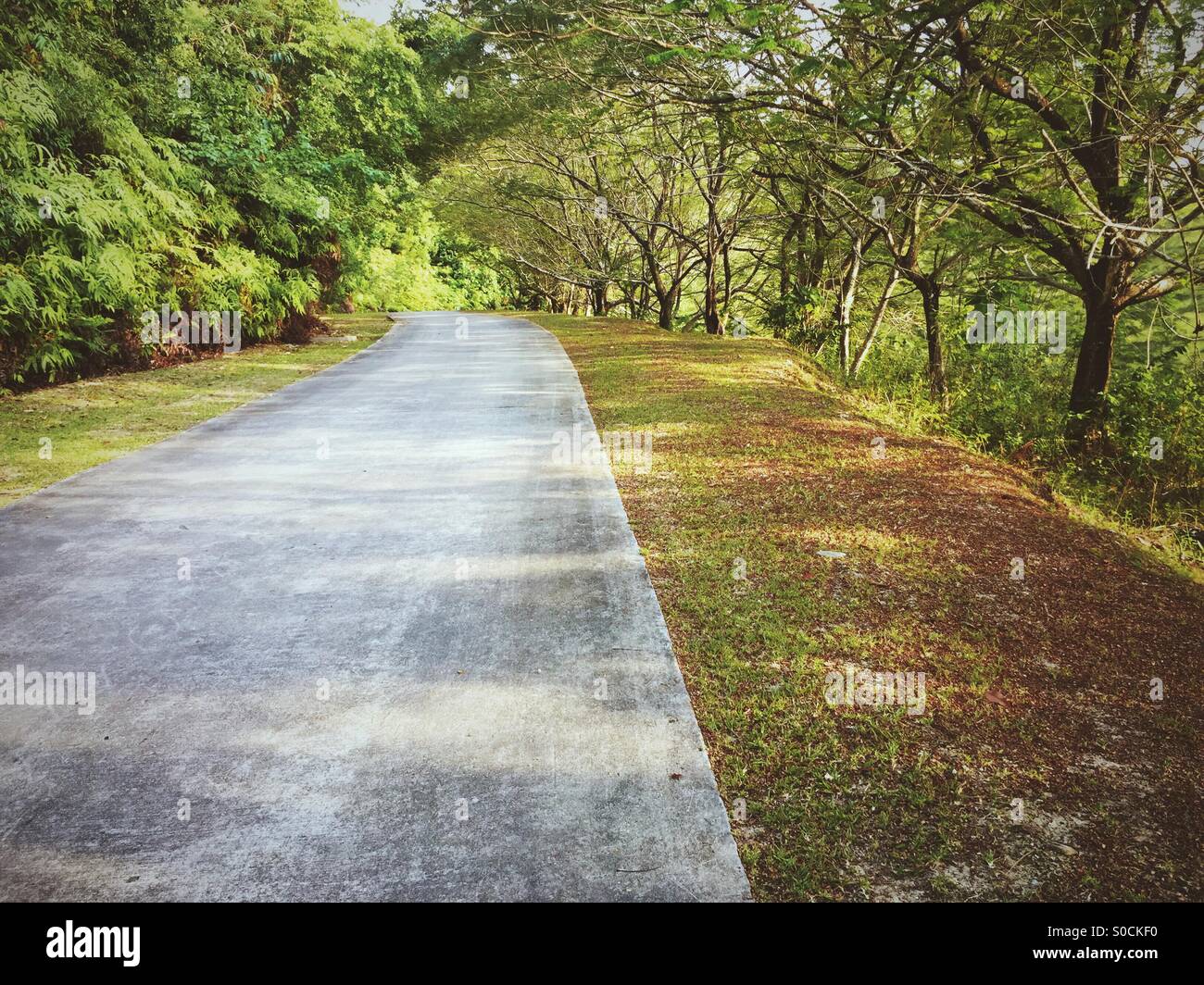 Jungle walk hi-res stock photography and images - Alamy