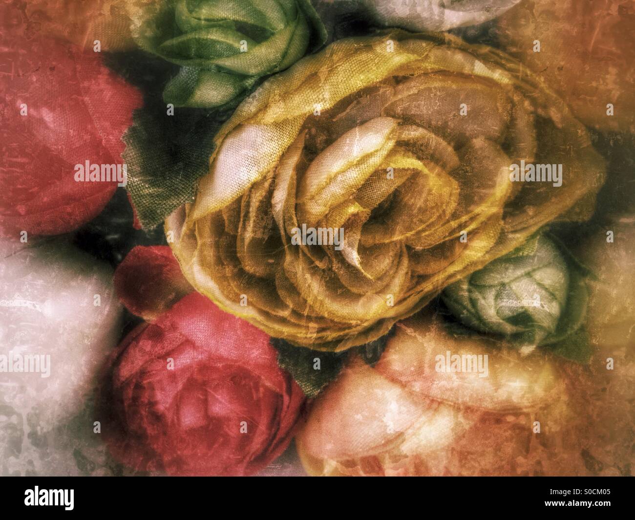 Fragile roses hi-res stock photography and images - Alamy