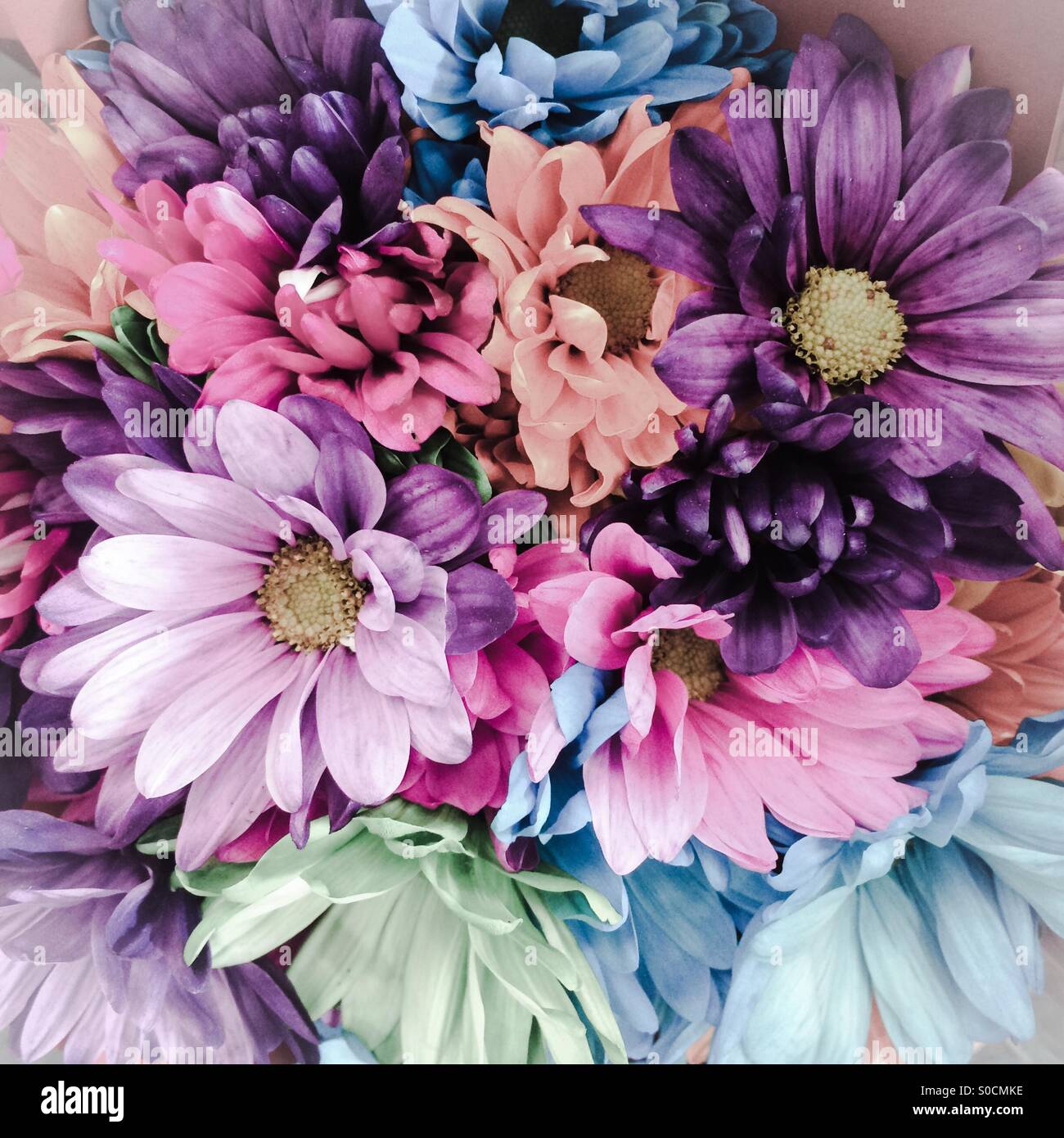 Fade hi-res stock photography and images - Alamy