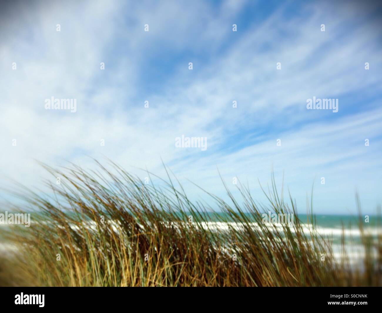 Grass Blowing In The Wind High Resolution Stock Photography and Images ...