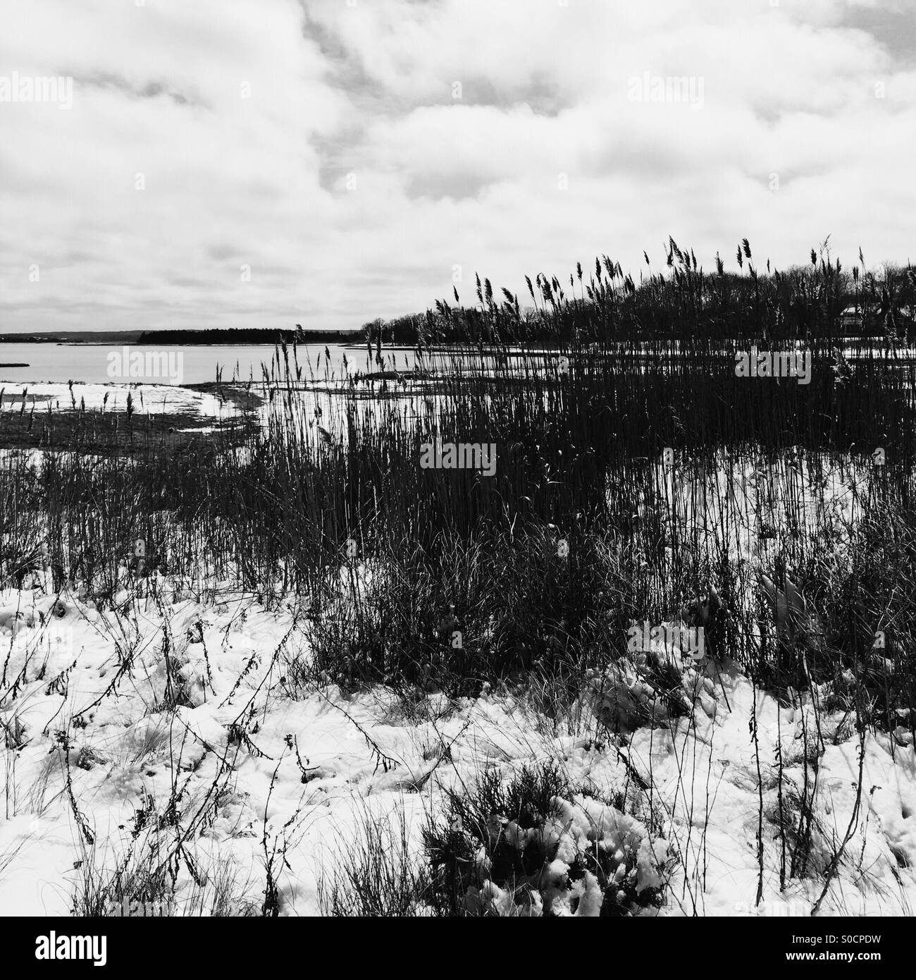 East hampton winter hi-res stock photography and images - Alamy