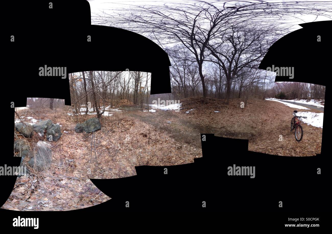 Wooded area by bike trail Stock Photo - Alamy