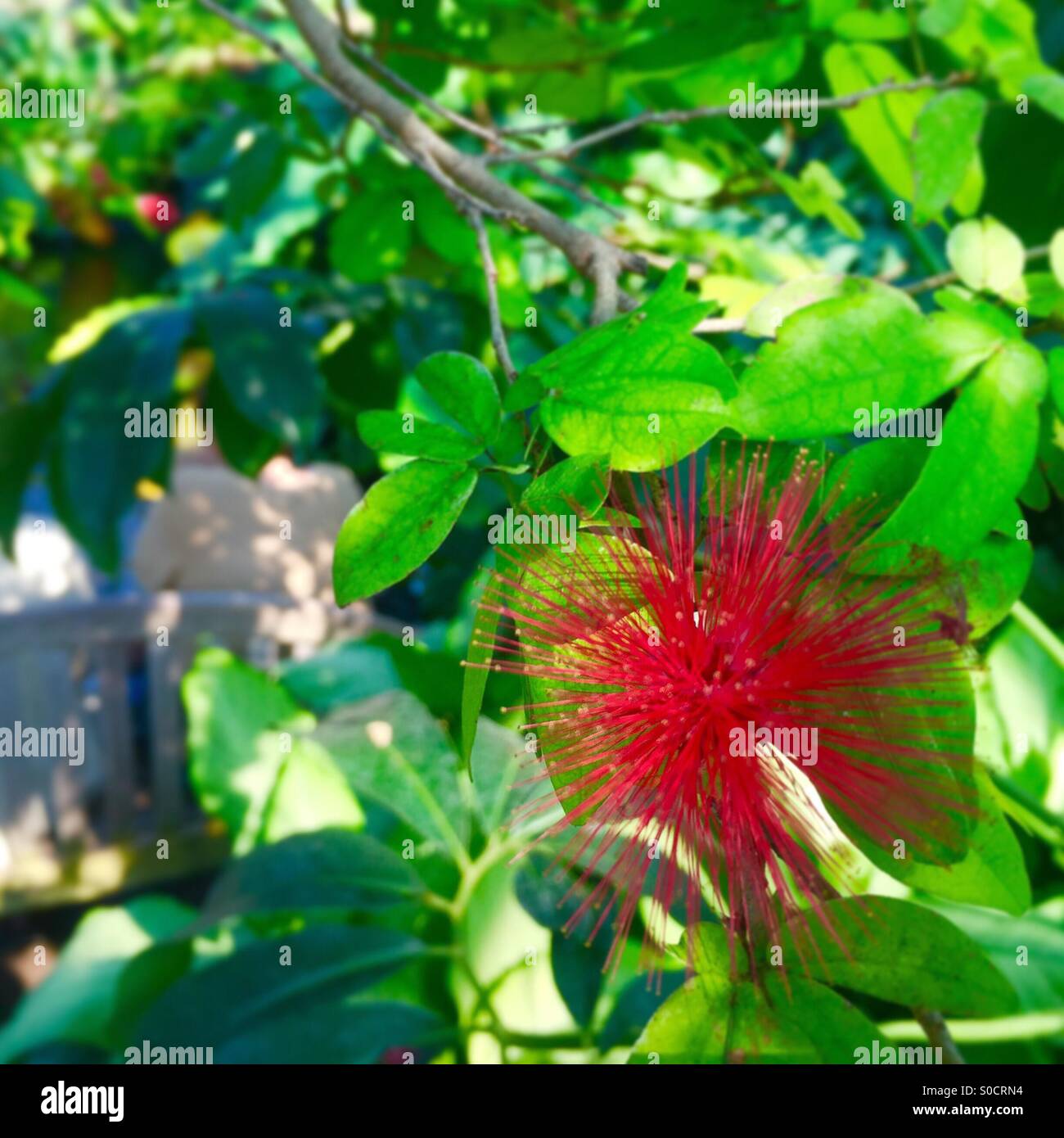 My favorite of all time Stock Photo - Alamy