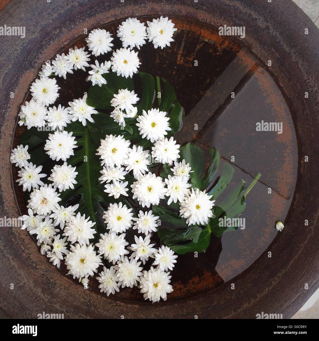 Floating flowers hi-res stock photography and images - Alamy