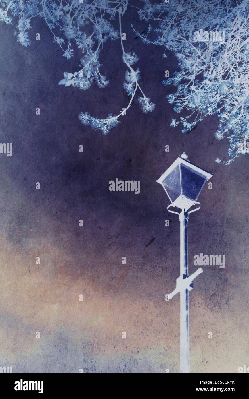 Colour inverted image of a street lamp under a blossom tree Stock Photo ...