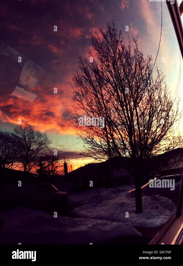 Sky reflecting off of car window Stock Photo - Alamy