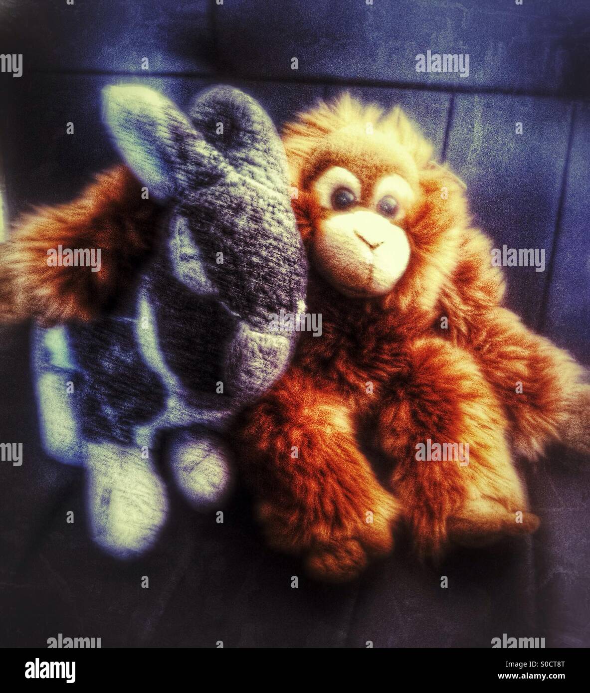 Monkey and rabbit Stock Photo - Alamy