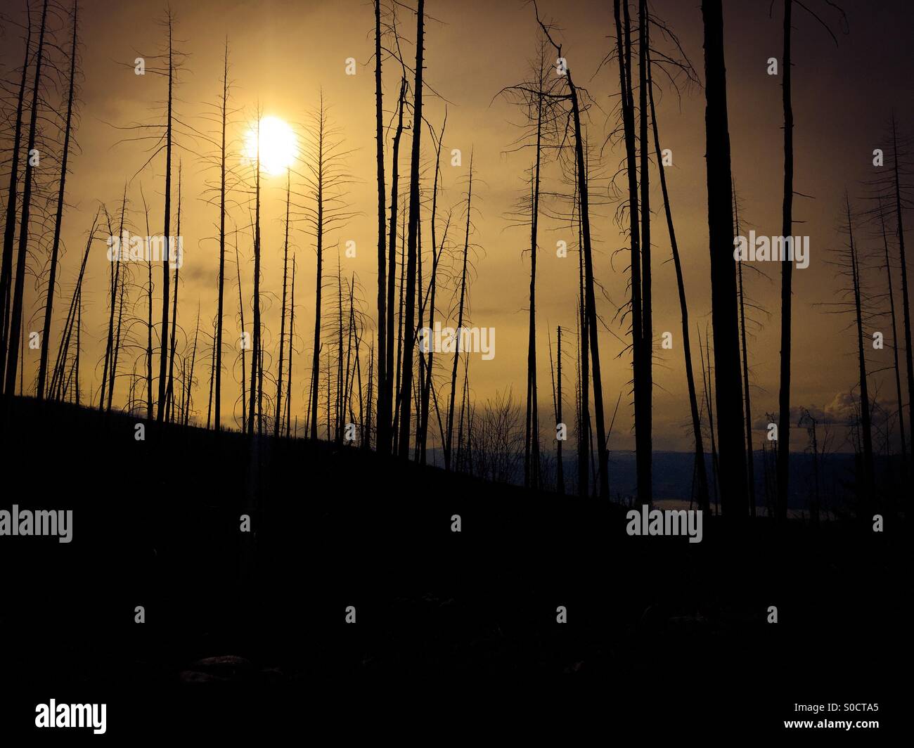 Sun burned hi-res stock photography and images - Alamy