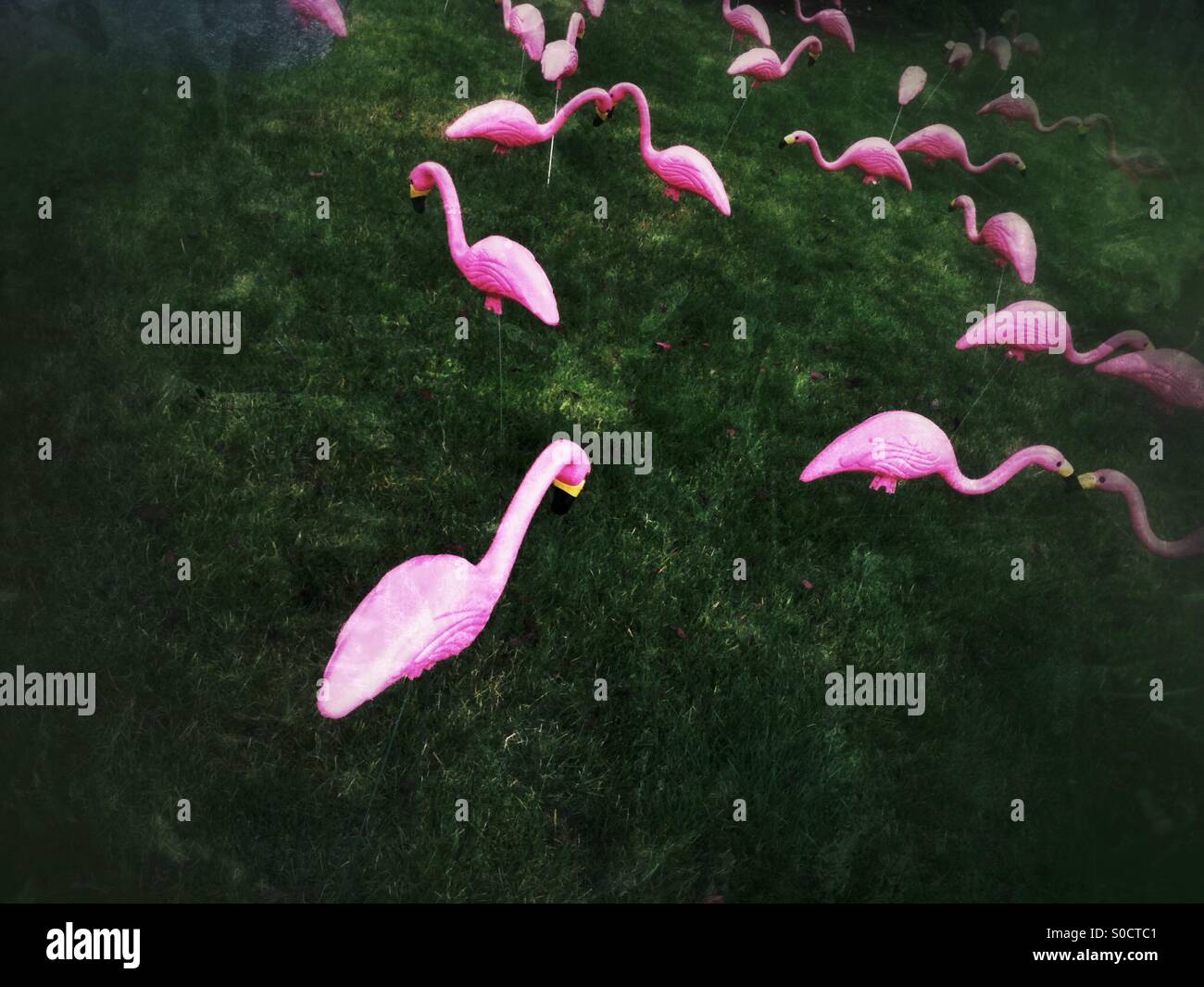 Plastic decor hi-res stock photography and images - Alamy