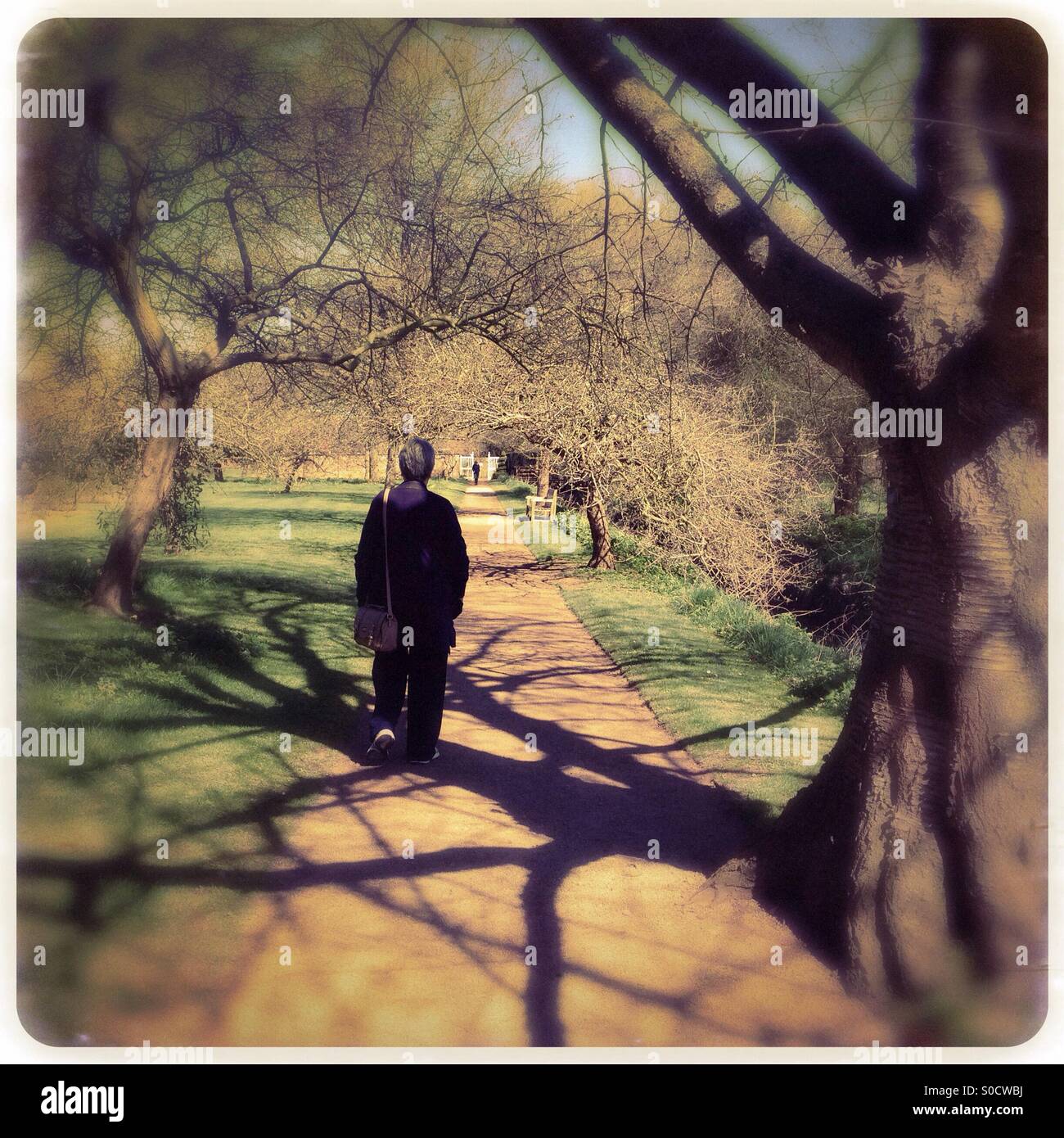 Trees path in park smartphone stock photos and images - Alamy