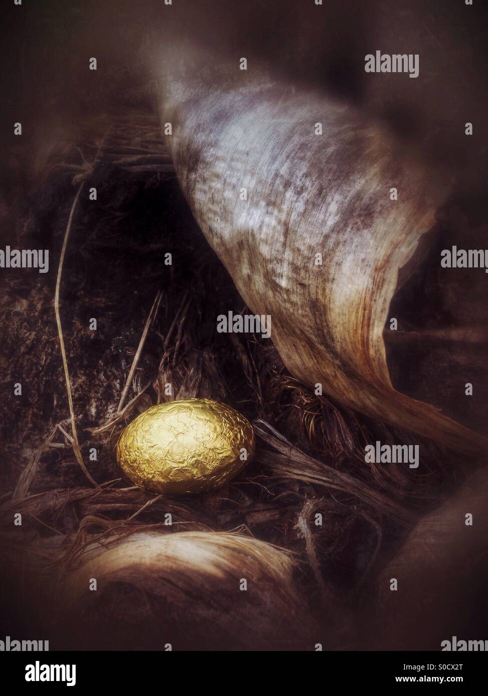 Golden Easter egg under the Banana tree stump Stock Photo - Alamy