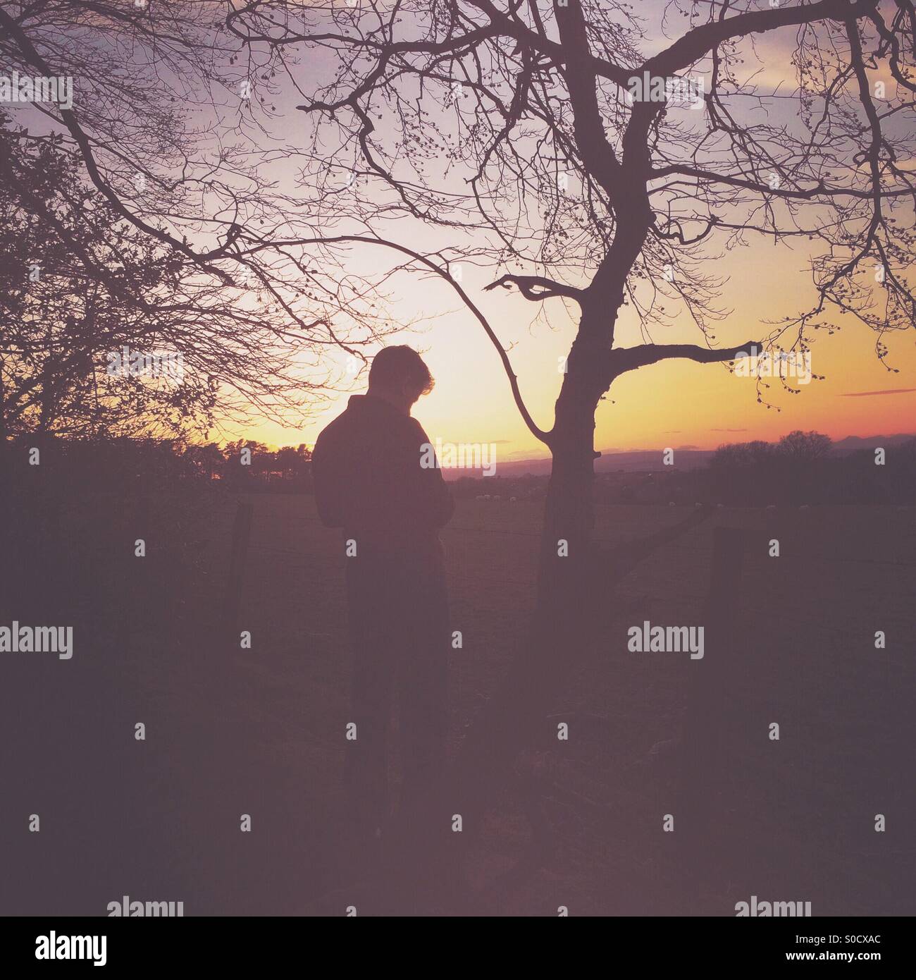 Silhouette sunset sky hi-res stock photography and images - Alamy