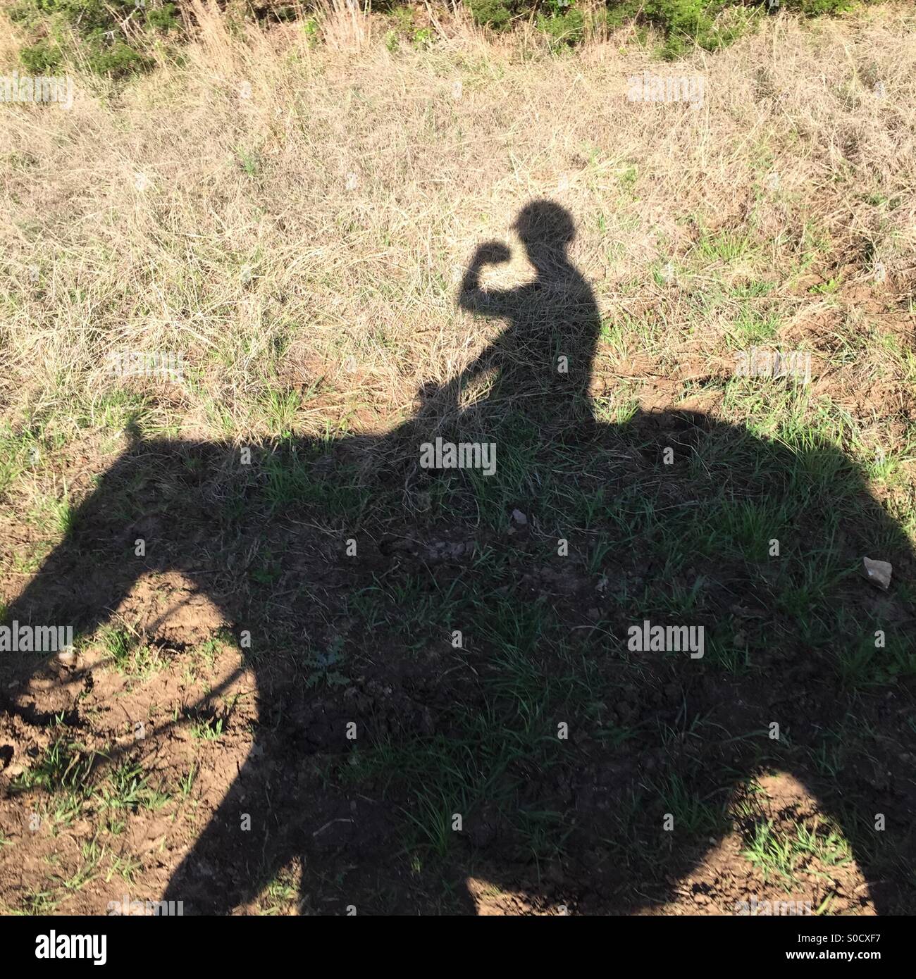 Man shadow grass hi-res stock photography and images - Alamy