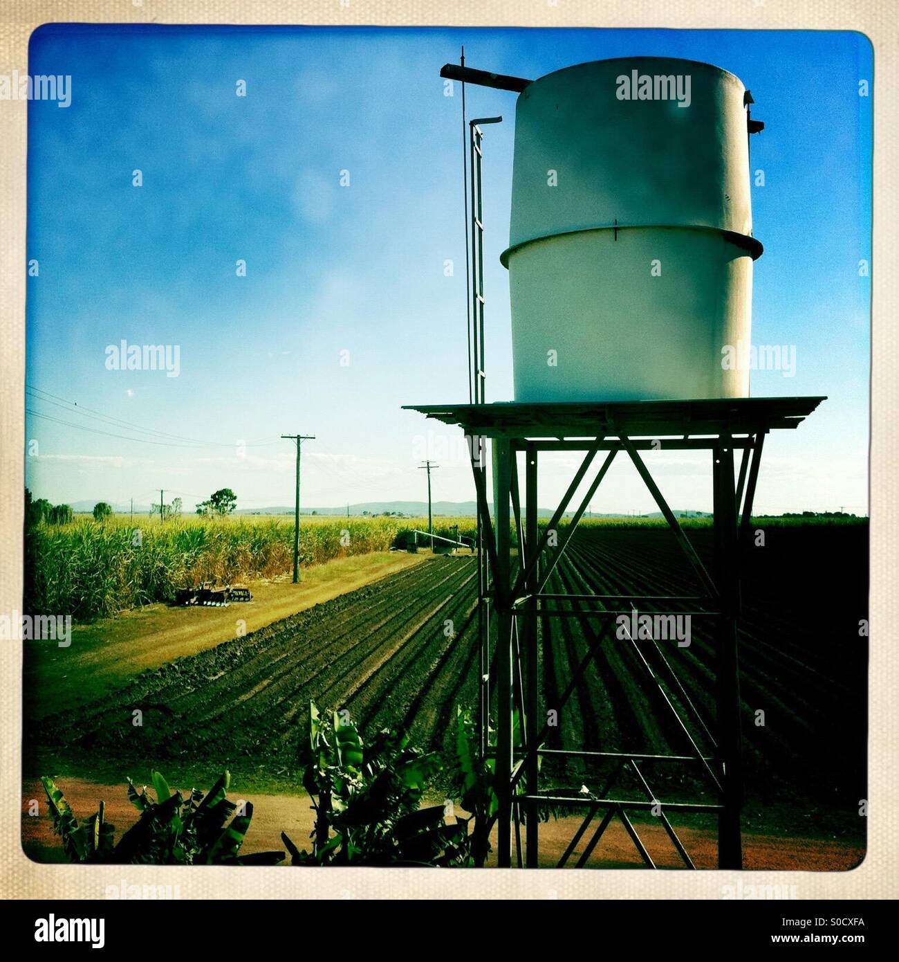 Down cane hi-res stock photography and images - Alamy