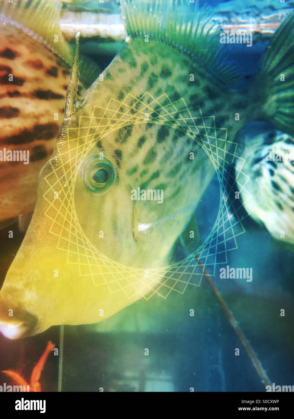 Rotating squares hi-res stock photography and images - Alamy