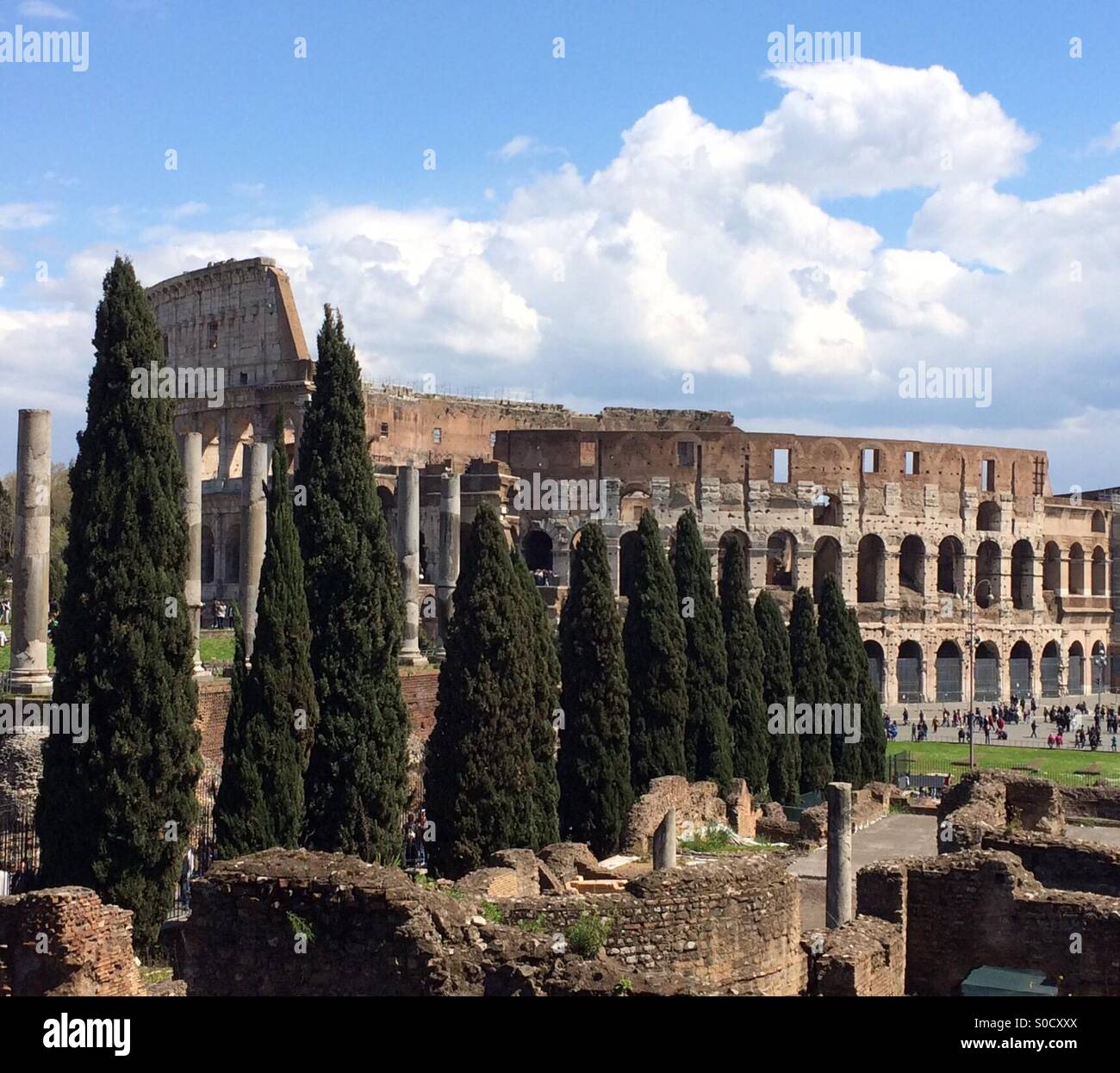 Colosseum and trees hi-res stock photography and images - Alamy