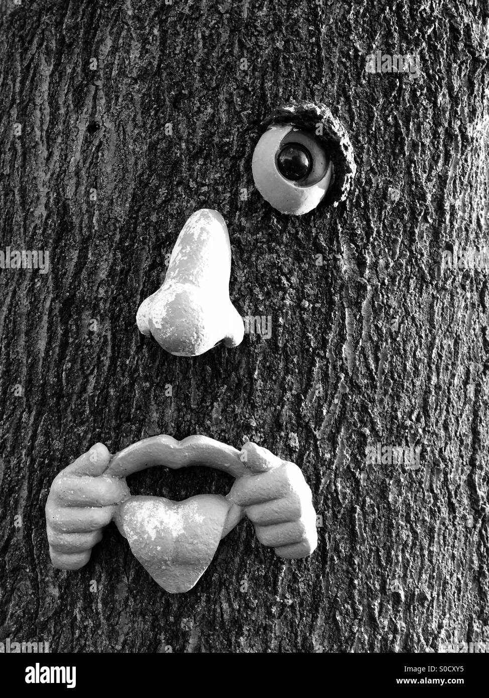 Not perfect tree face Stock Photo - Alamy