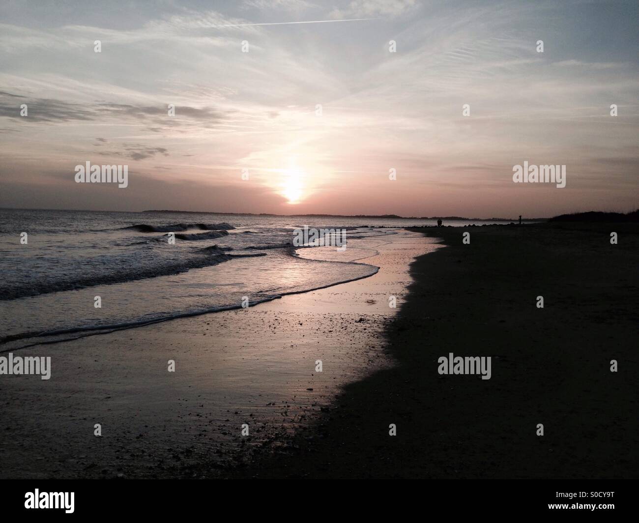 Carolina edisto hi-res stock photography and images - Alamy