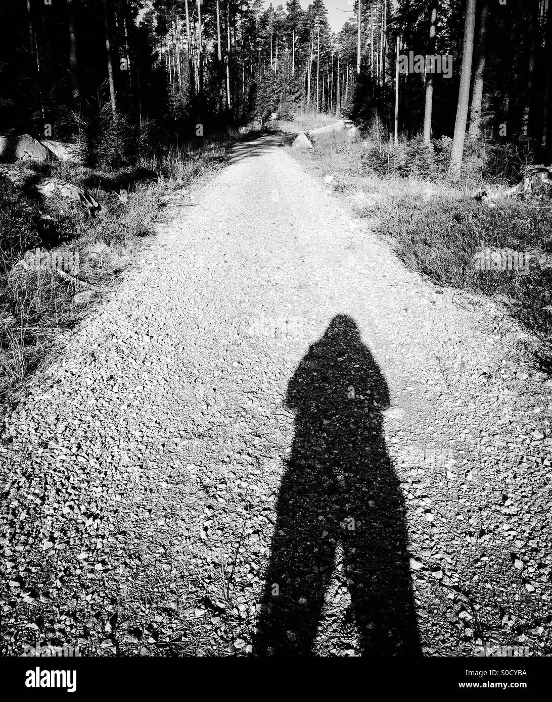 Shadow people dark hi-res stock photography and images - Alamy