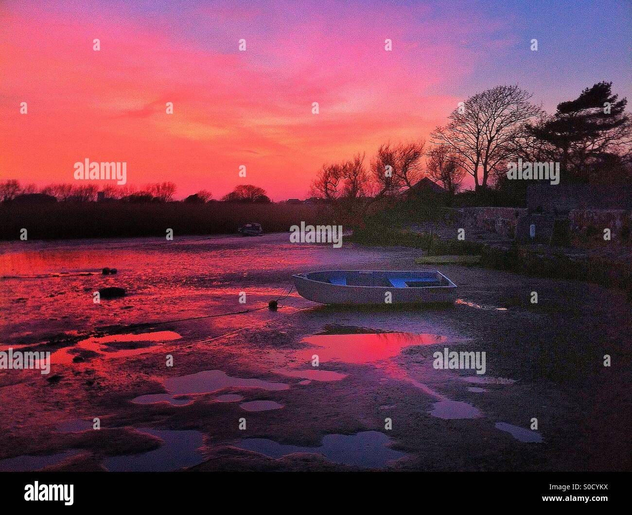 Pink sunset over the marsh Stock Photo - Alamy