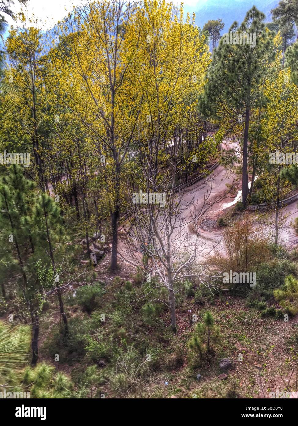 Winding road in the mountains Murree Pakistan Stock Photo - Alamy