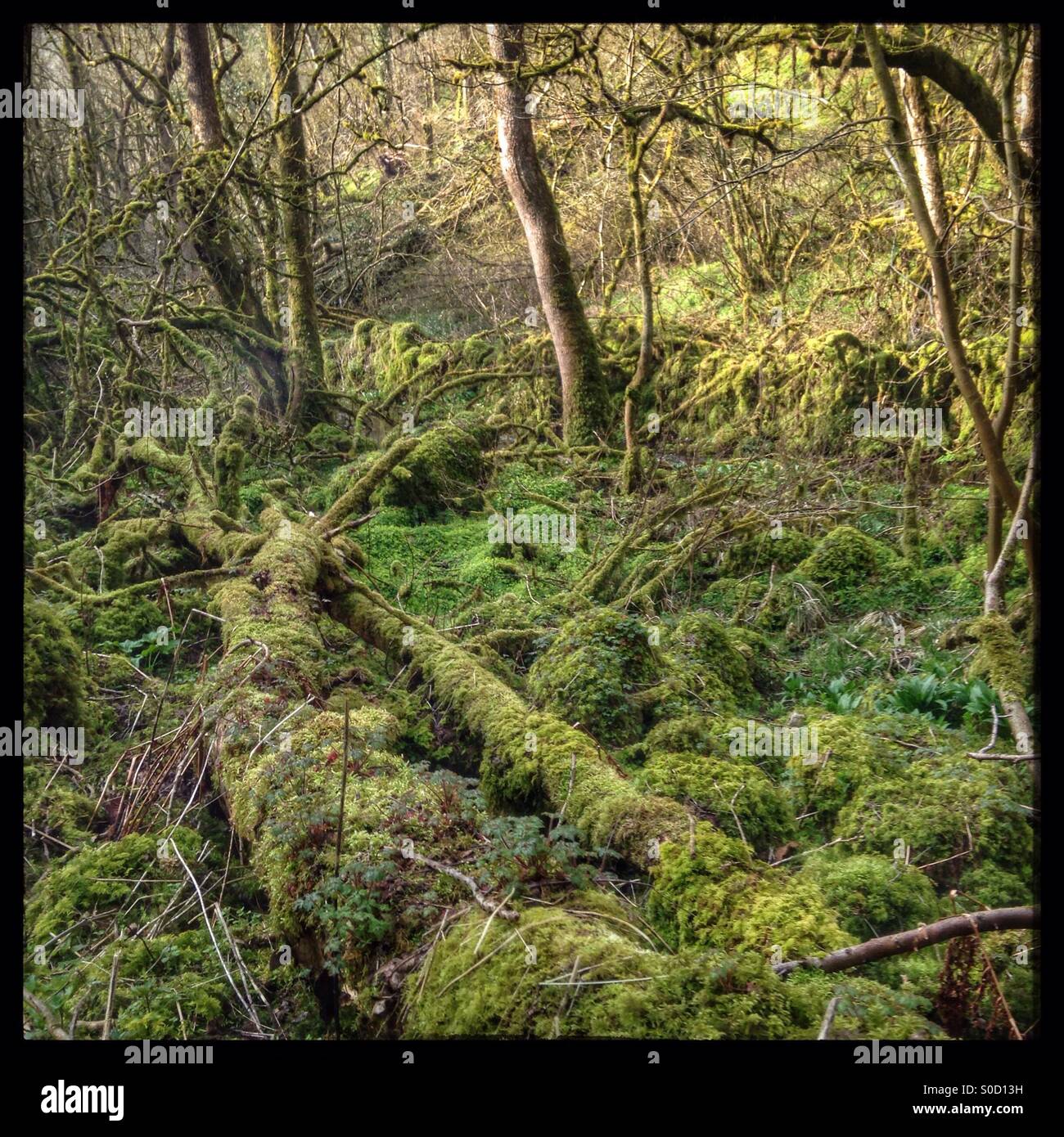 Hidden dale hi-res stock photography and images - Alamy