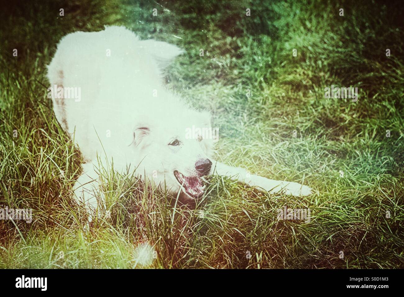 Play with me Stock Photo - Alamy