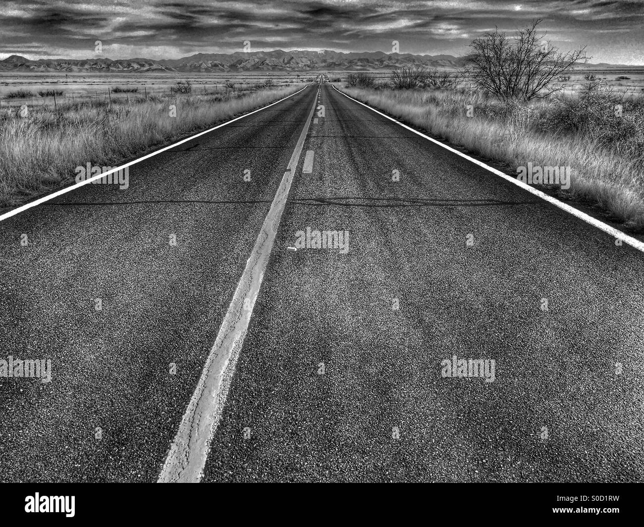 Cattle mountains Black and White Stock Photos & Images - Alamy