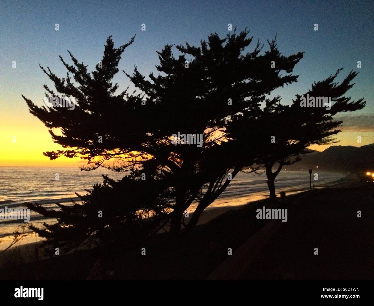 Juniper Tree Sunset High Resolution Stock Photography and Images - Alamy
