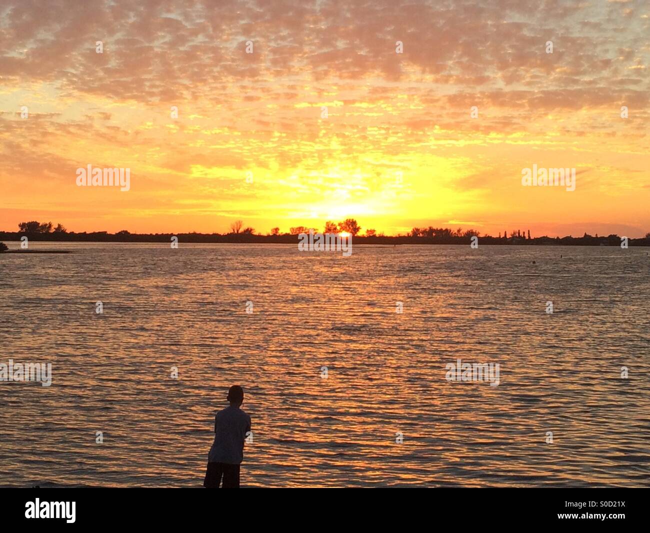 Lemon Bay sunset Stock Photo - Alamy