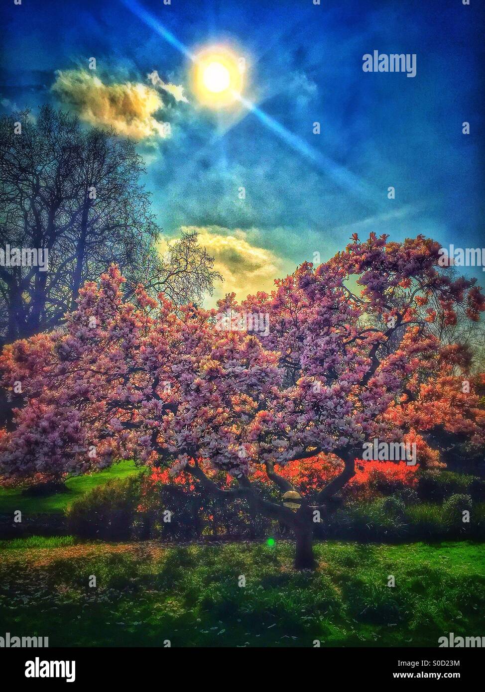 Hyde park london spring hi-res stock photography and images - Alamy