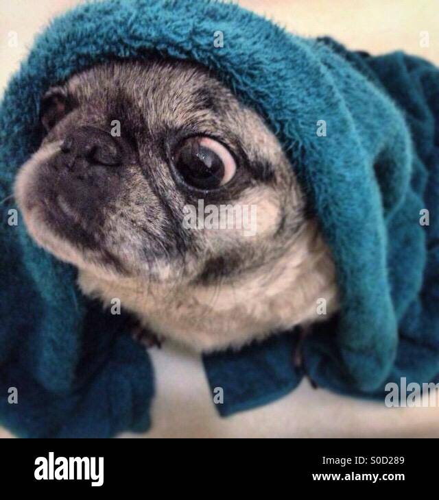 Rub a dub dub hi-res stock photography and images - Alamy