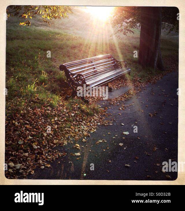 Wooden bench in the sun hi-res stock photography and images - Alamy