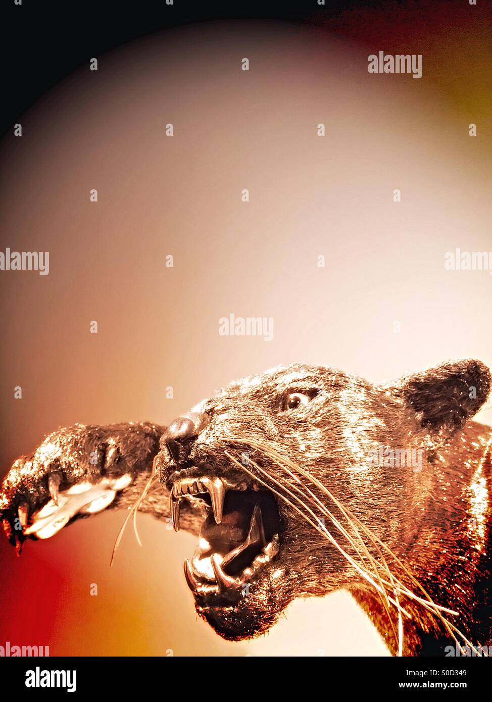 Puma Sculpture High Resolution Stock Photography and Images - Alamy