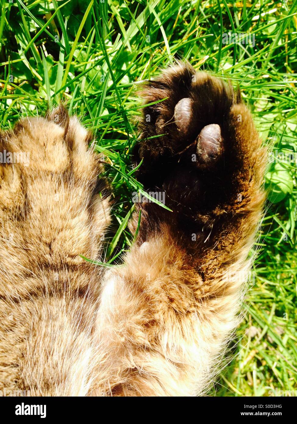 Wave Lawn High Resolution Stock Photography and Images - Alamy