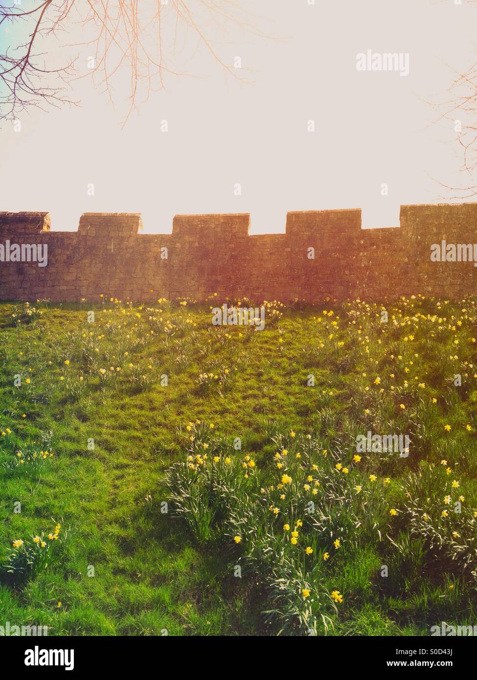 York wall hi-res stock photography and images - Alamy