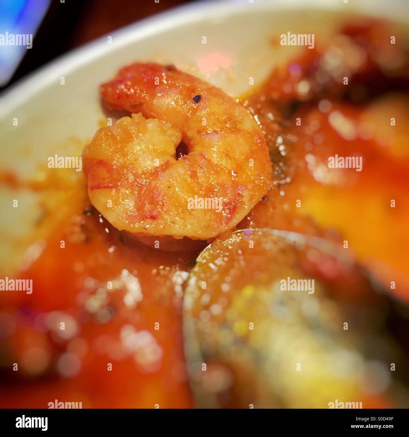 Pilli hi-res stock photography and images - Alamy