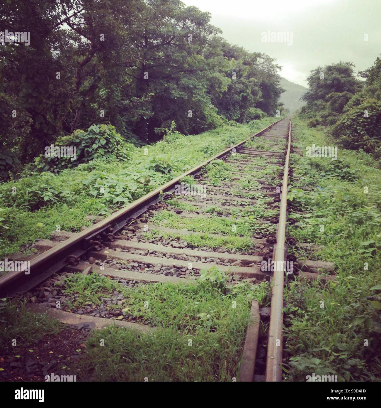 Abandoned Train Tracks Photography