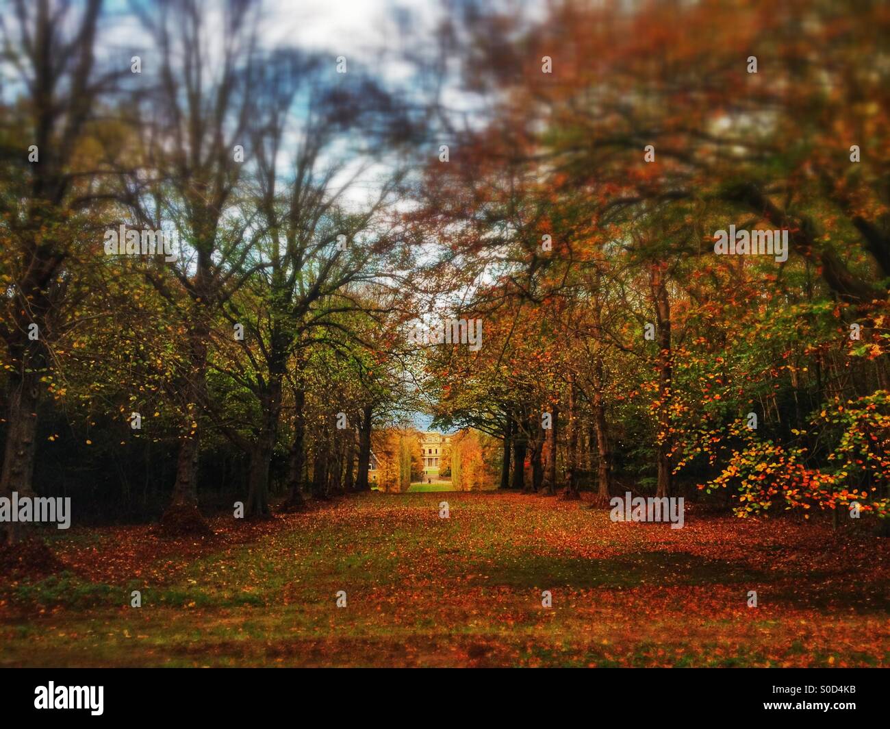 An autumn lane hi-res stock photography and images - Alamy