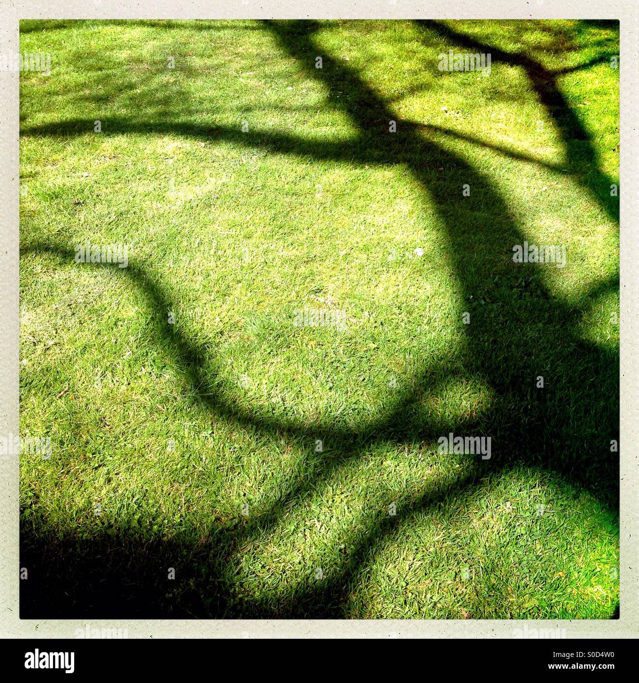 Grass shapes hi-res stock photography and images - Alamy