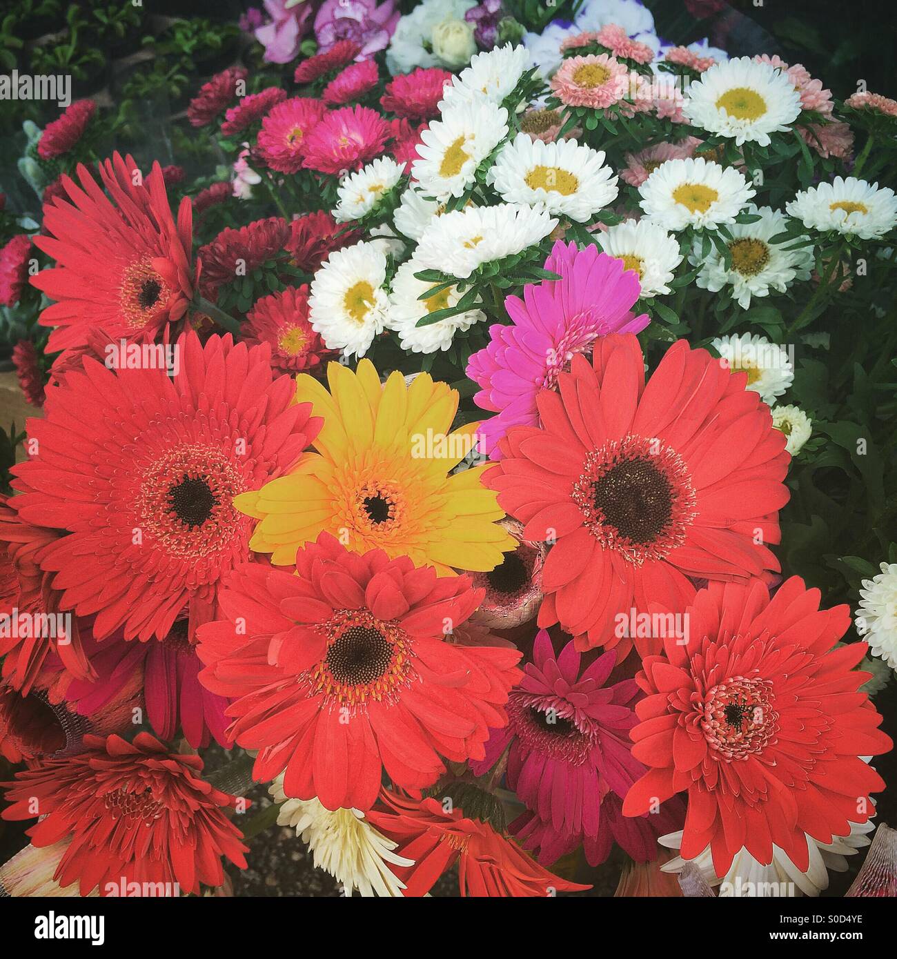 Spring colors hi-res stock photography and images - Alamy