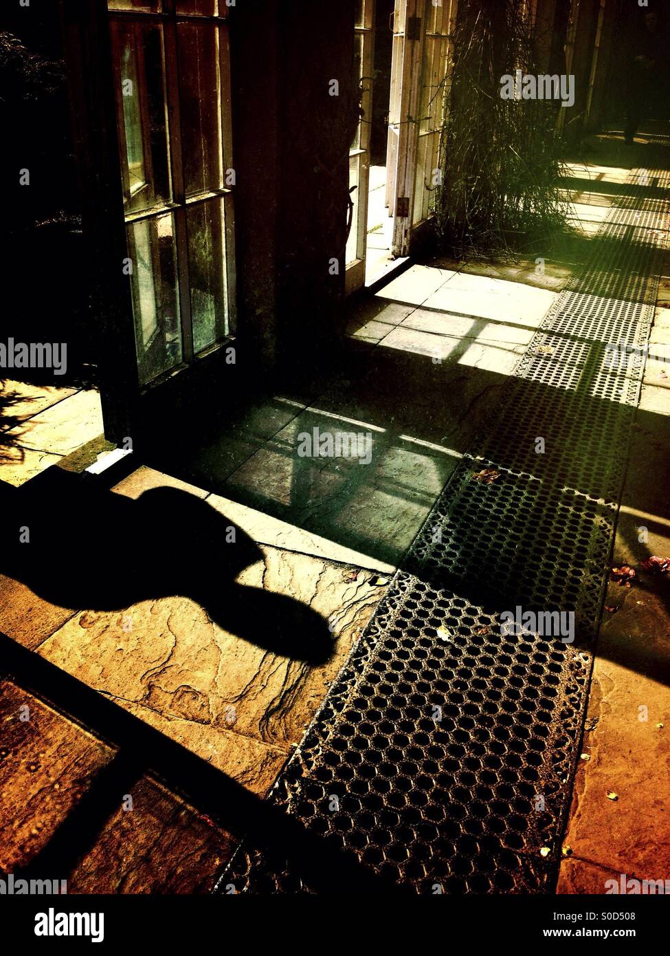 Creepy window silhouettes hi-res stock photography and images - Alamy